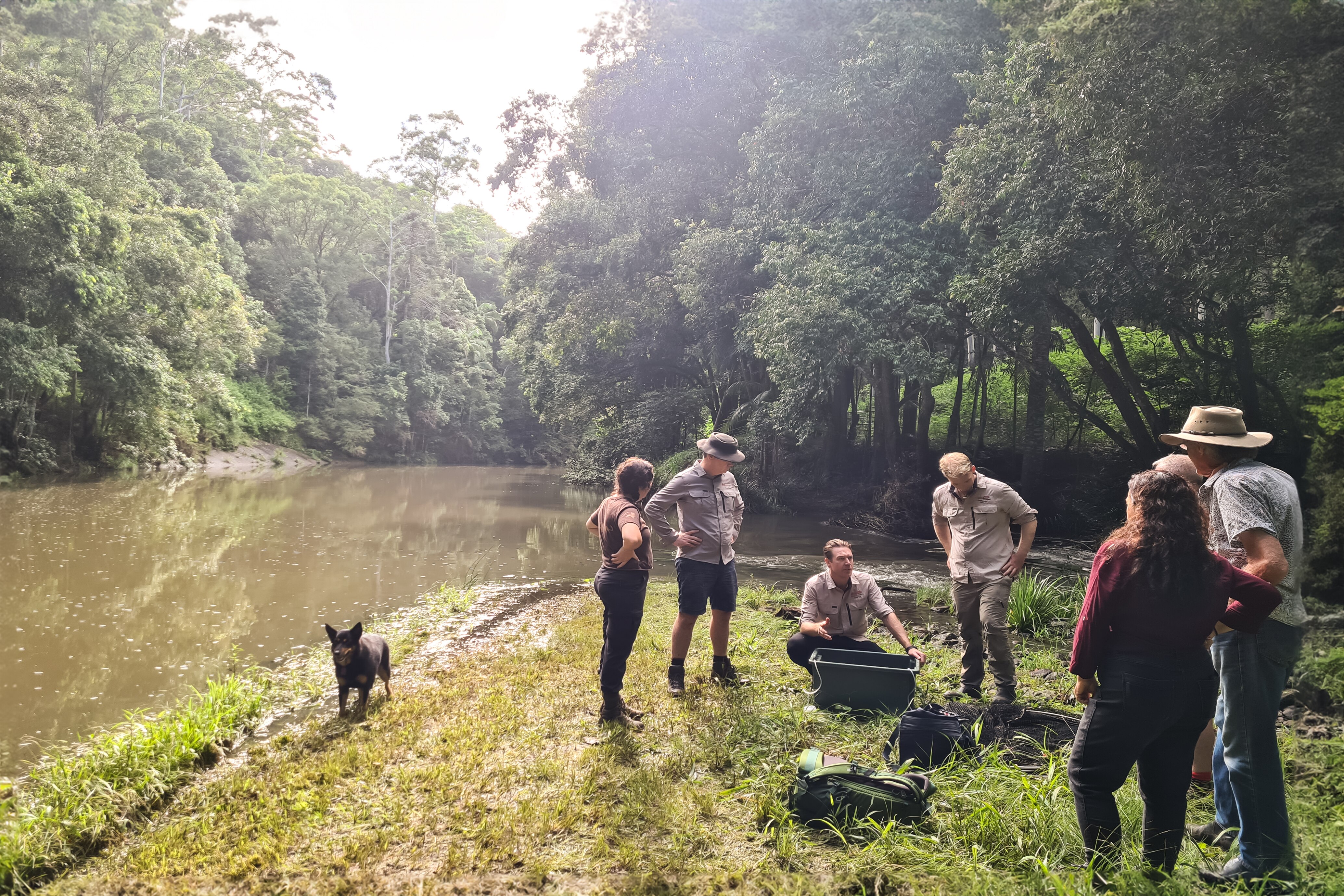 Mary River's rare, endangered species numbers are falling, but ...