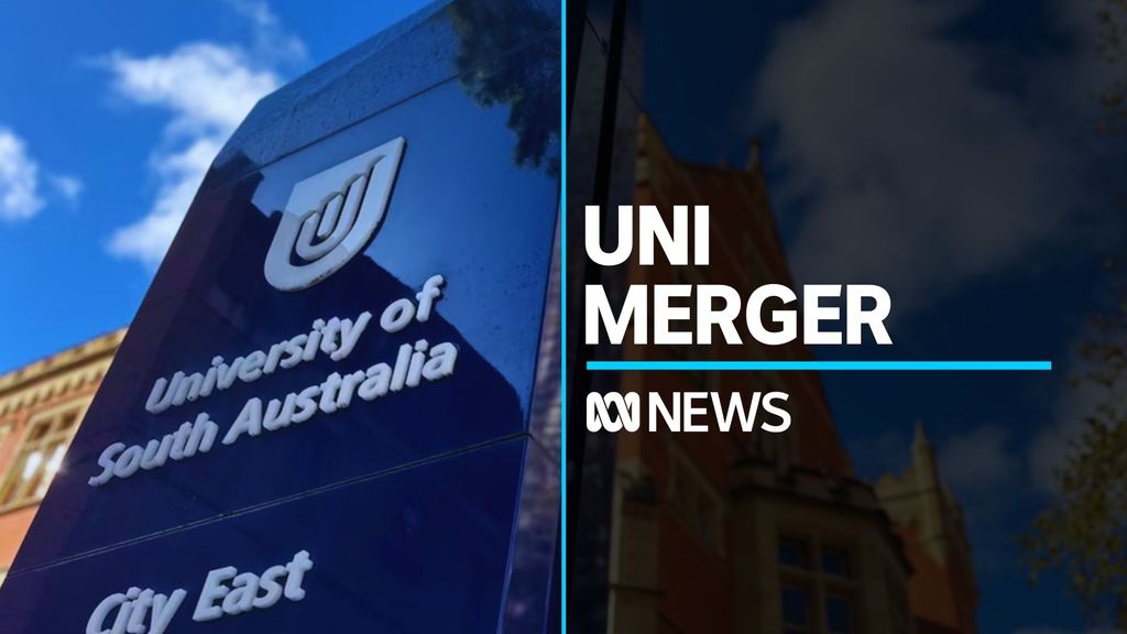 Parliamentary committee scrutinises proposed uni merger - ABC News