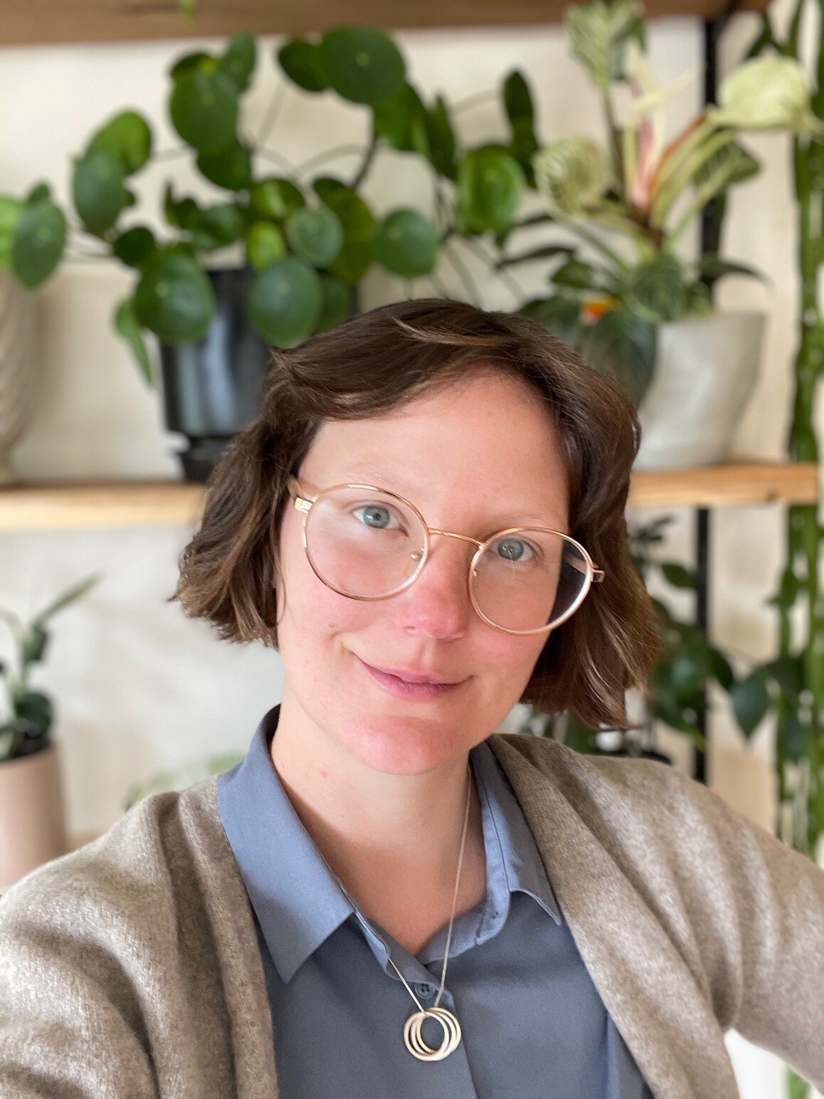 How the Queen of Trees will achieve 40% canopy cover in Hobart - ABC listen