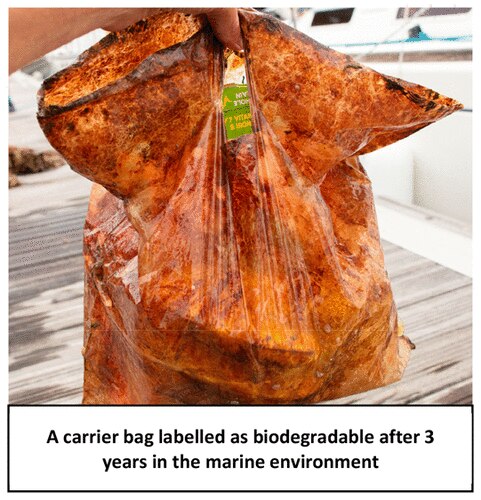 'Biodegradable' plastic bags still don't break down after 3 years ...