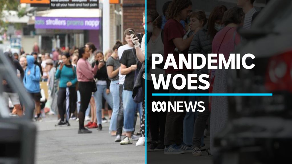 New turtle research shows hope in sea turtle 'man drought' - ABC News