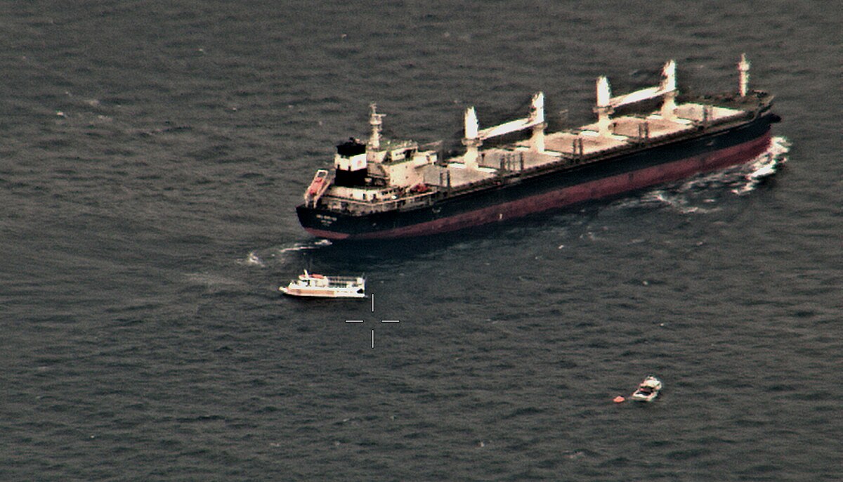 'Heartbreaking loss' as Port River dolphin boat MV Port Princess sinks ...