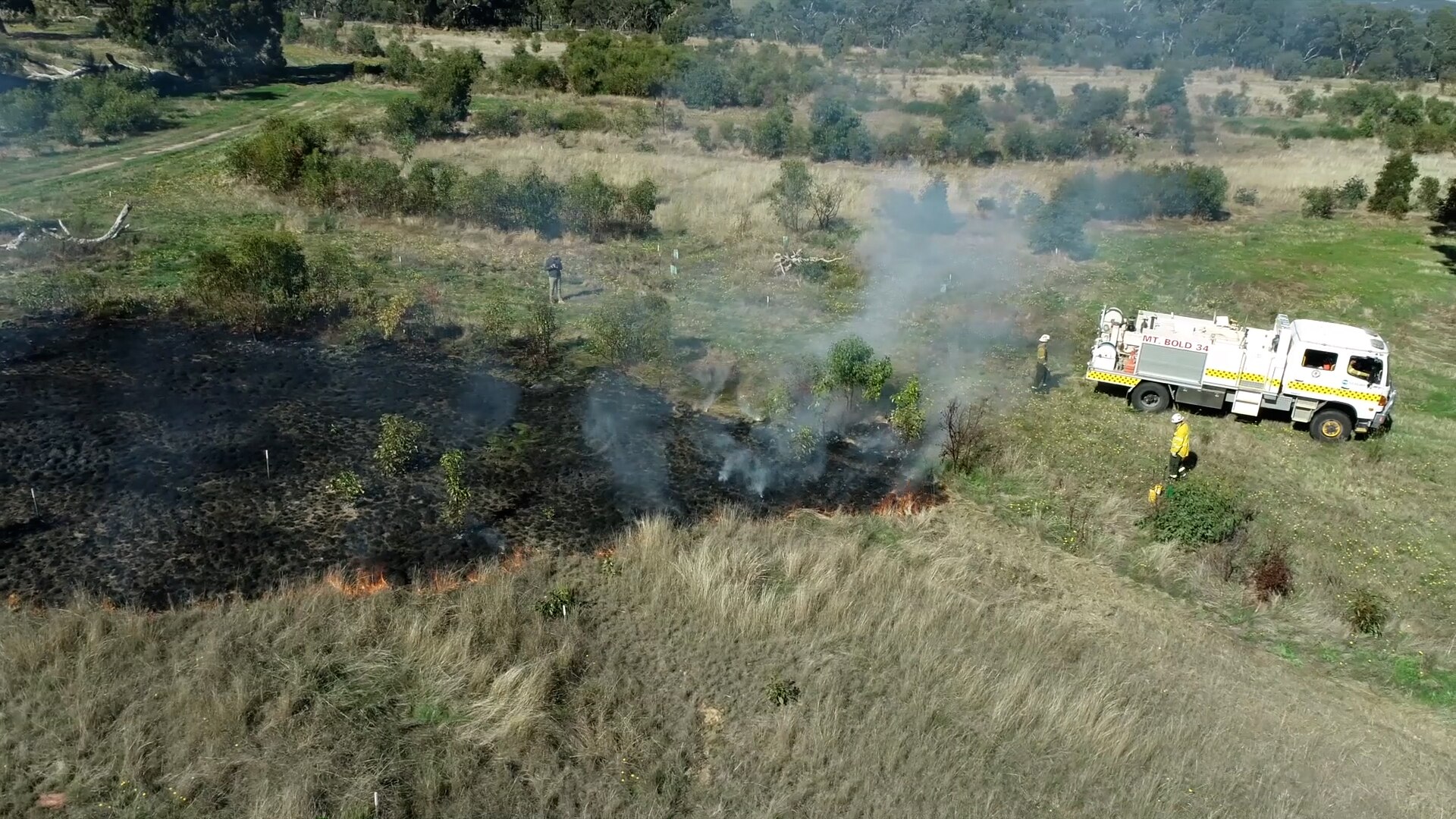 Native grass seedlings found to bloom back to life in regenerative ...