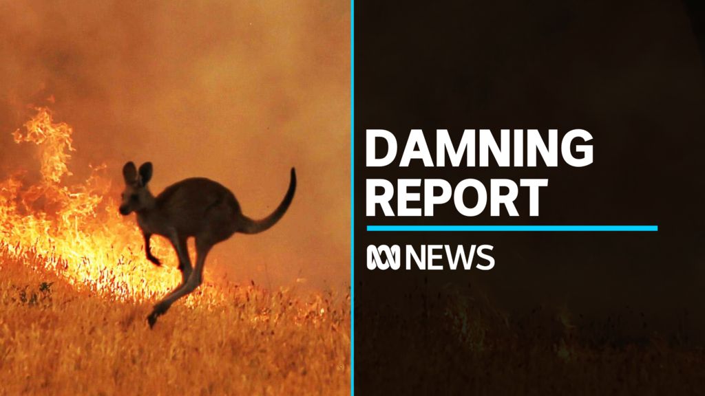 Latest UN climate report comes with dire warning - ABC News