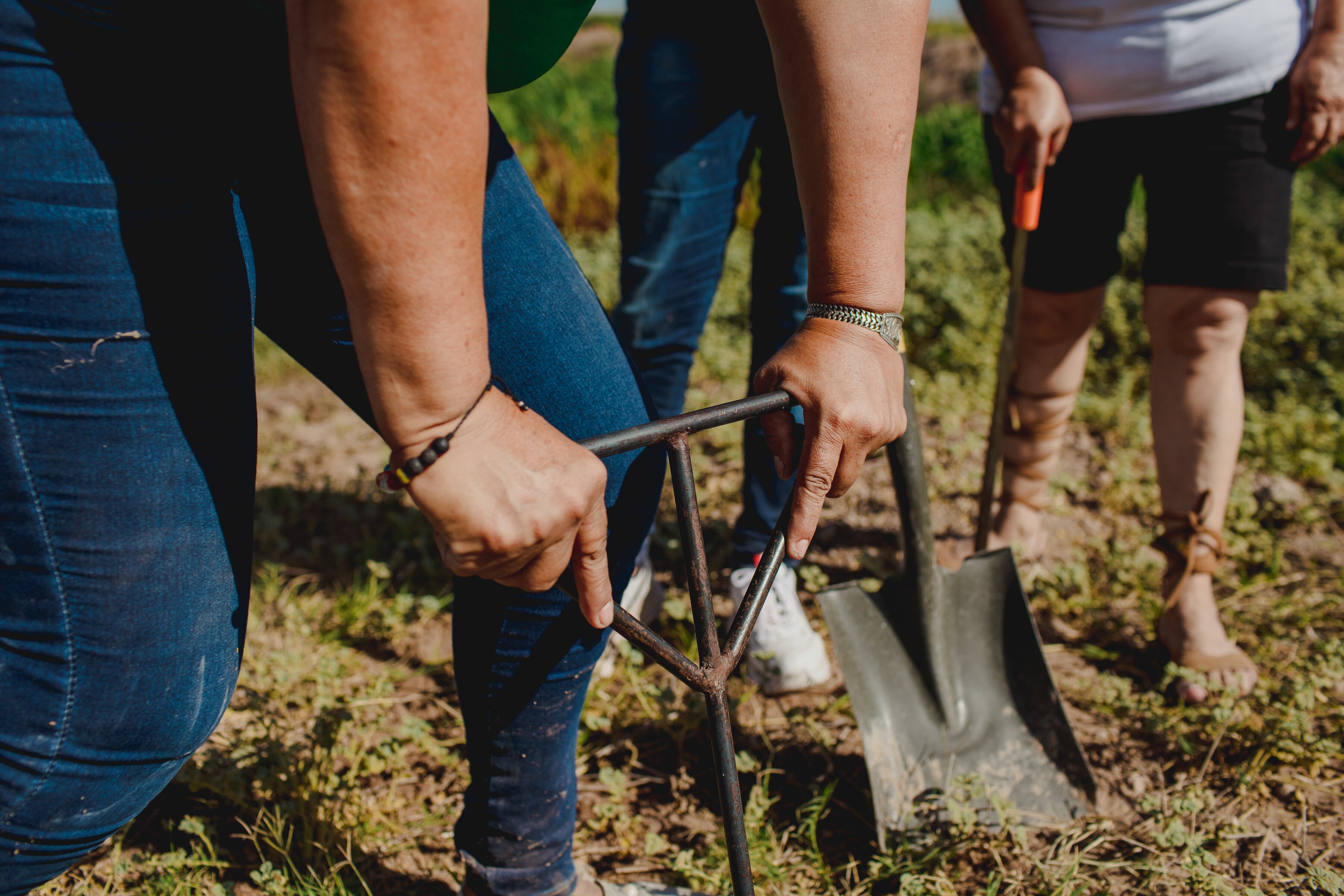 Trackers of El Fuerte: The mothers digging for Mexico's disappeared ...