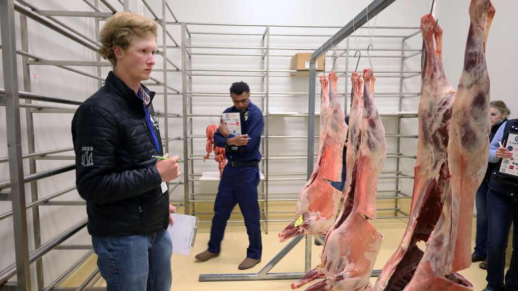 Meat judging championships in Wagga Wagga - ABC News