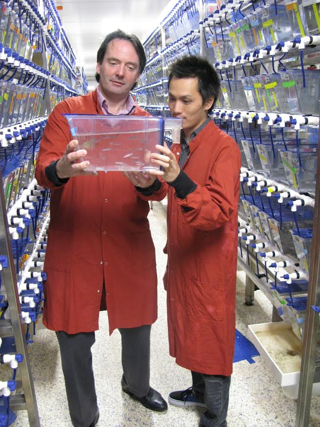 Stem cell discovery: Australian scientists make significant find while ...