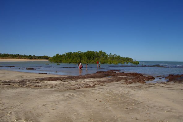 Word Up: Maree Yoelu - ABC listen
