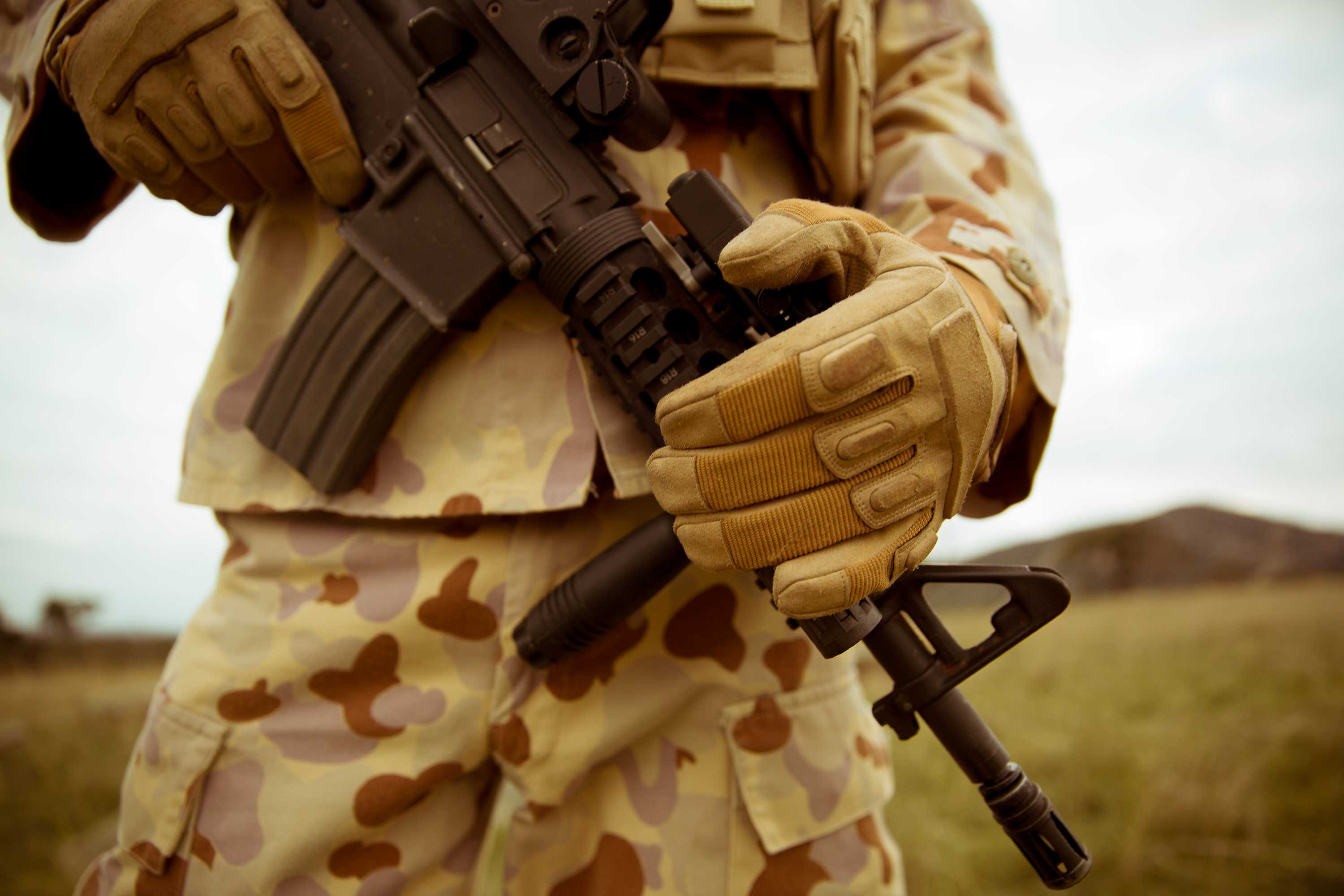 Defence Force to take greater role in responding to domestic terrorism ...