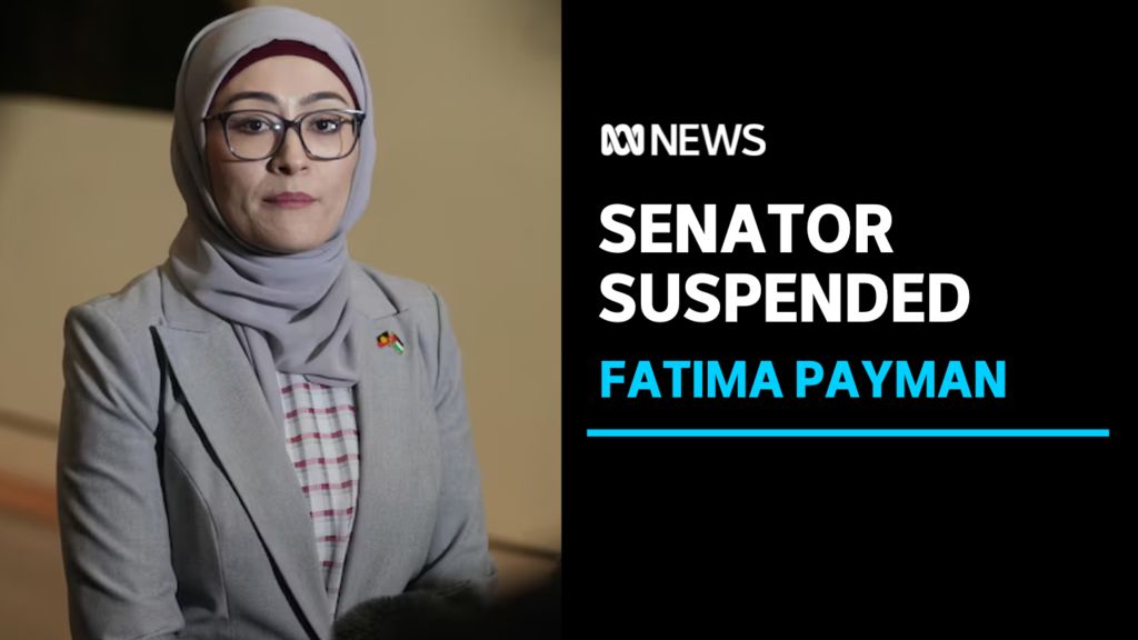 Black cat video prompts calls to contain feral felines - ABC News