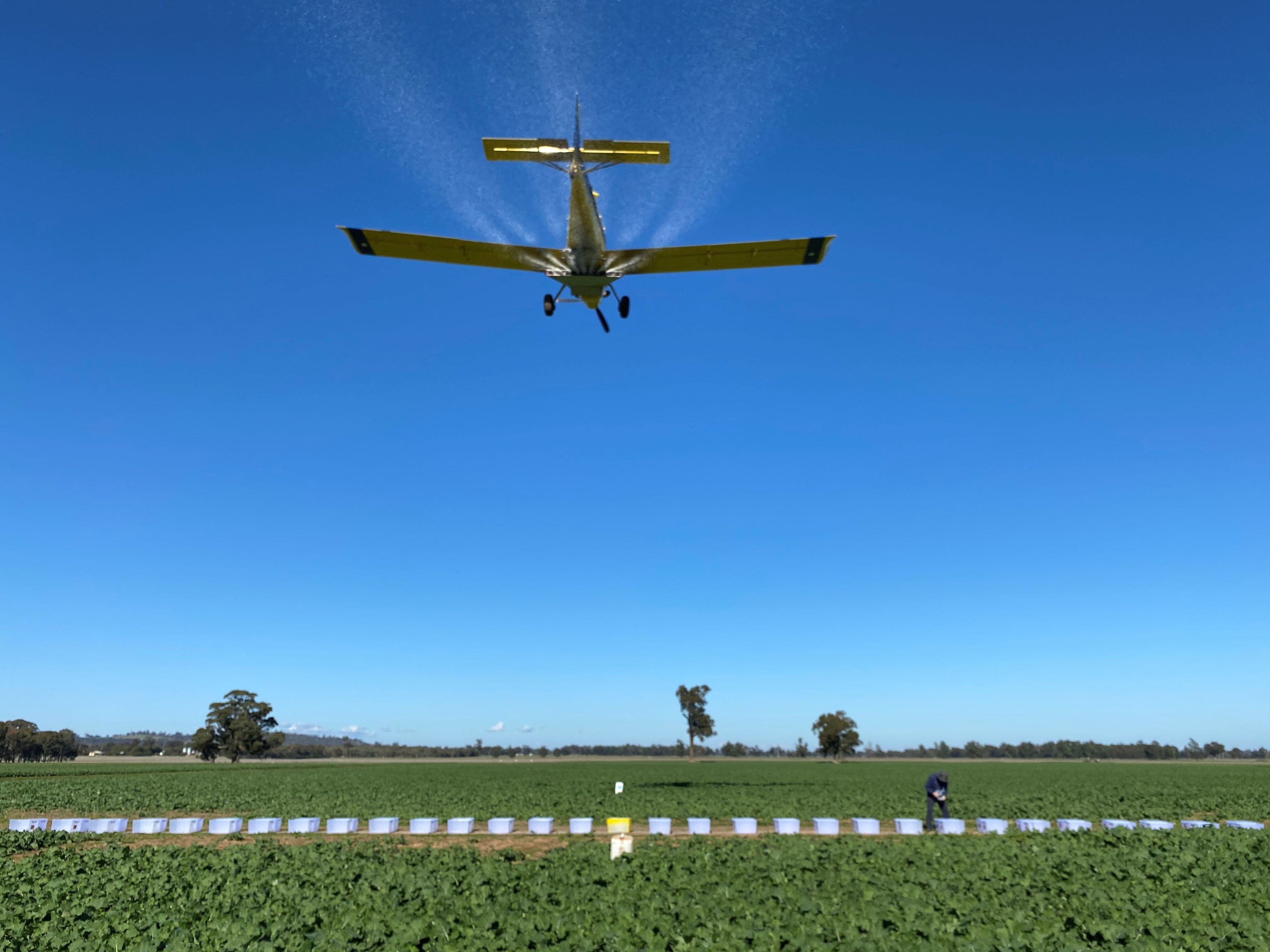 Afternoons - ABC Melbourne