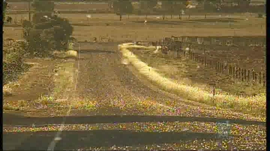 Scientists warn of locust invasion - ABC News