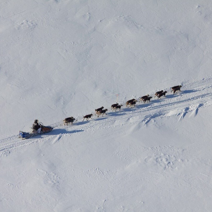 Iditarod dog sled dreams alive for Queensland's Christian Turner - ABC News
