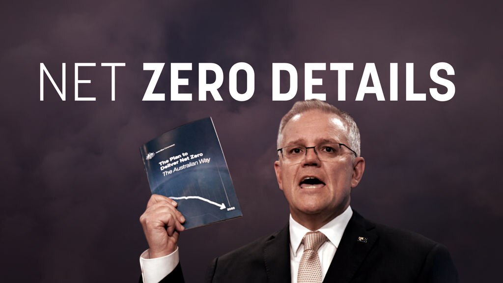 Government unveils net zero by 2050 plan - ABC News