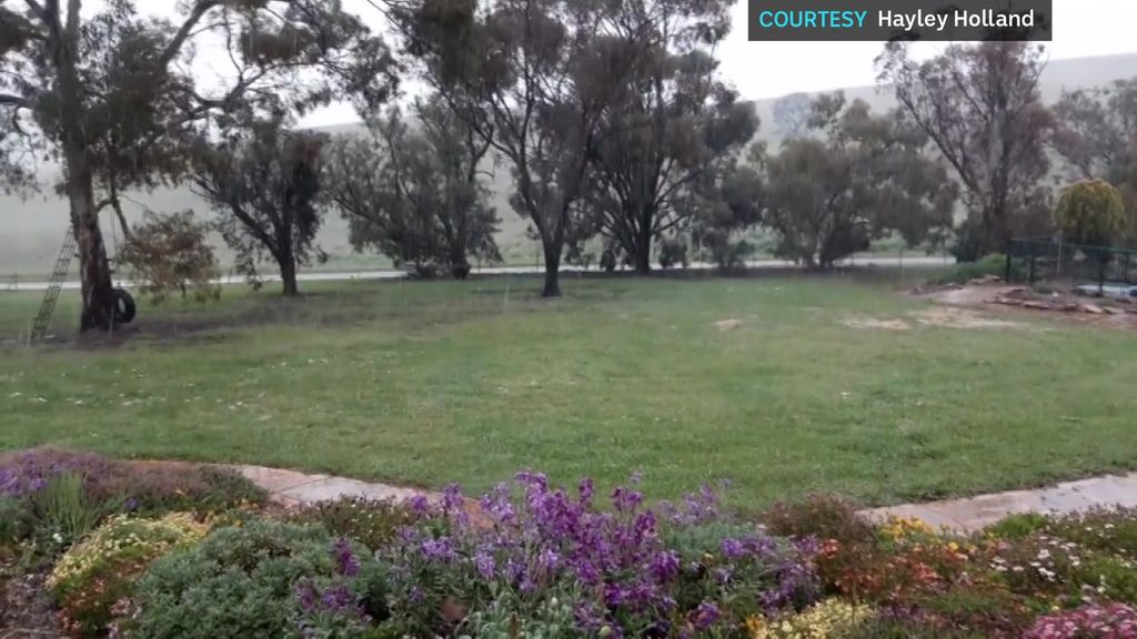 Snow falling at the base of Mount Bryan near Hallett - ABC News