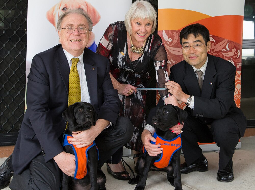Konnichiwa: Guide Dogs Queensland send cute and cuddly asset to help ...