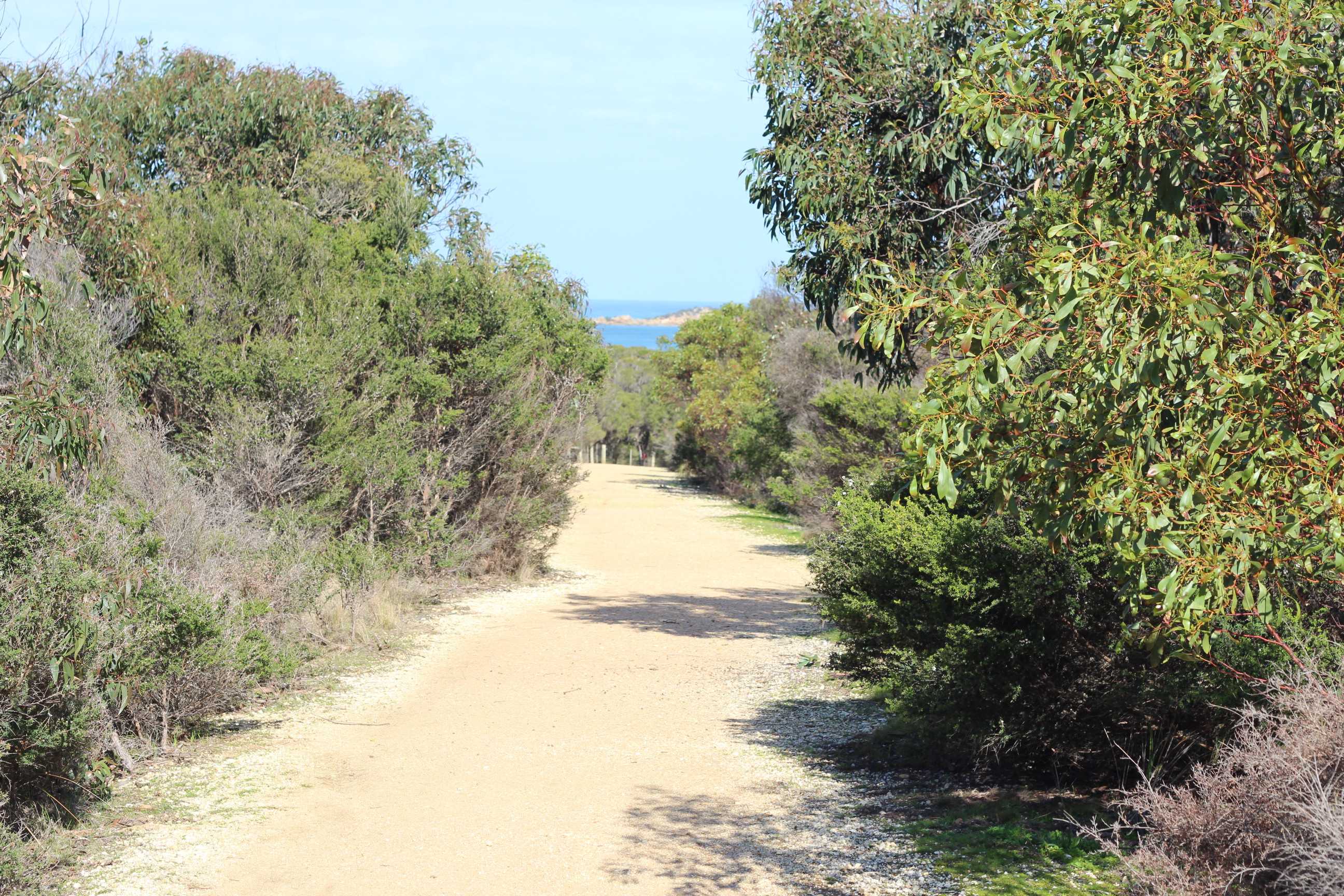 Surf Coast walk at Anglesea closed after cracks spotted in cliffs - ABC ...