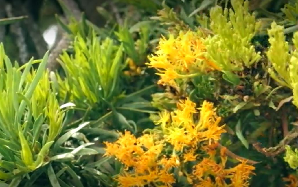 Frequently asked questions - ABC Classic