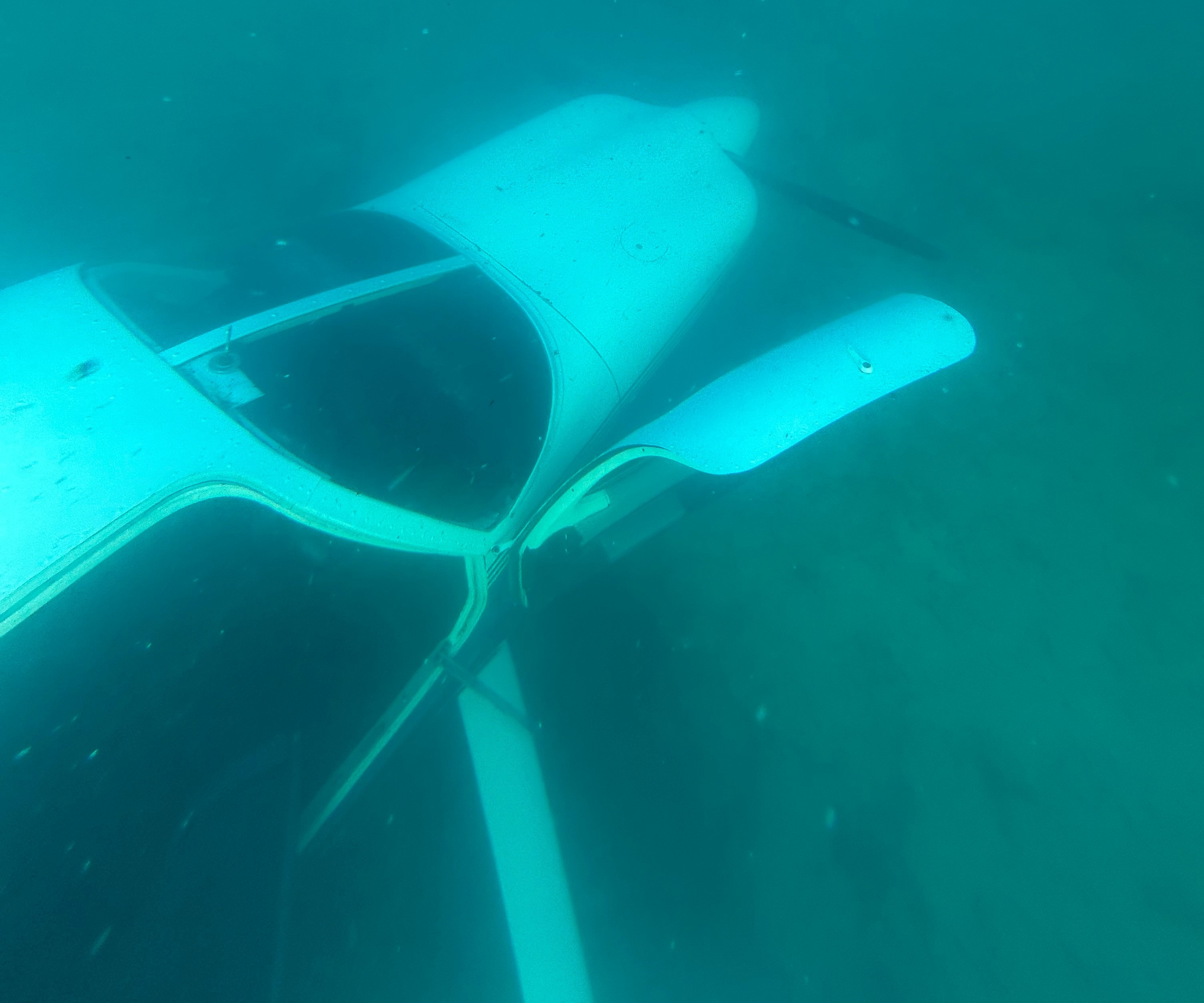 Charlotte Hamlyn - ABC News