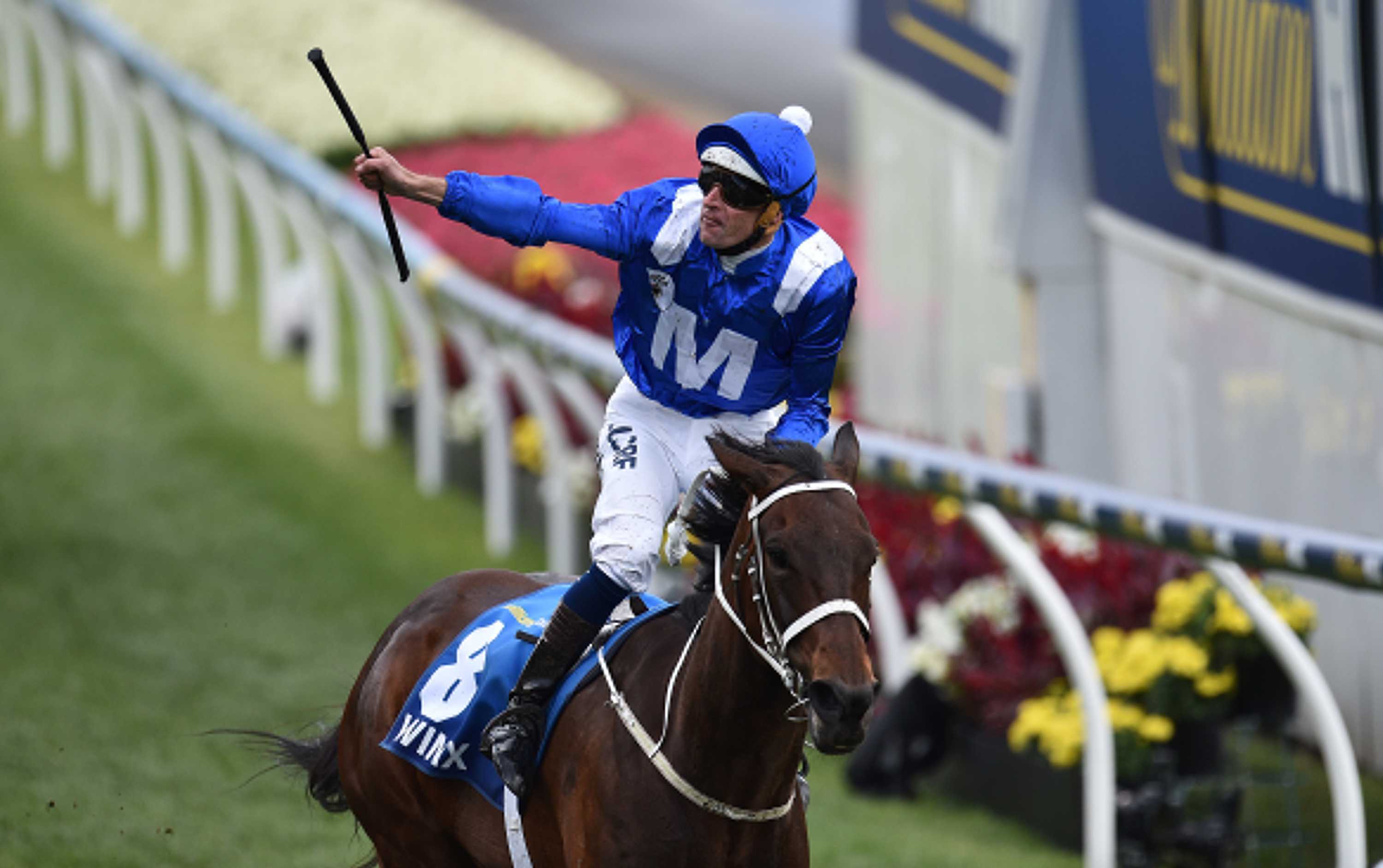 Winx wins Cox Plate by eight lengths from Hartnell for 13th straight ...