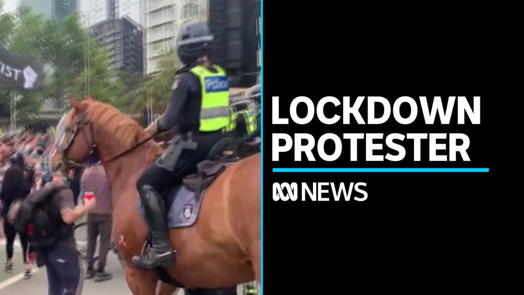 Lockdown protester who bashed horse apologises - ABC News