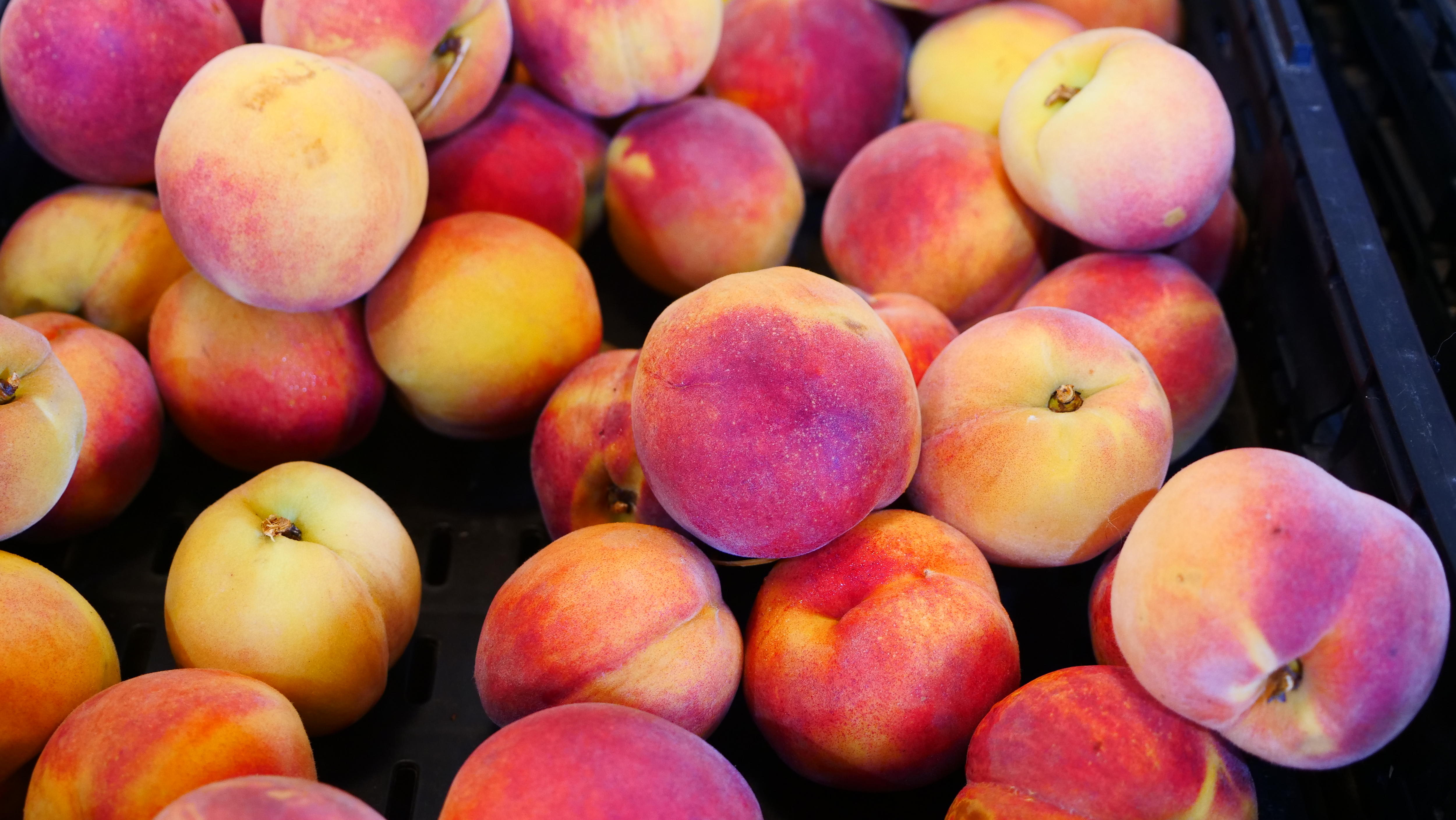 Stone fruit harvest in NSW hurt by disease and floods — and prices are ...