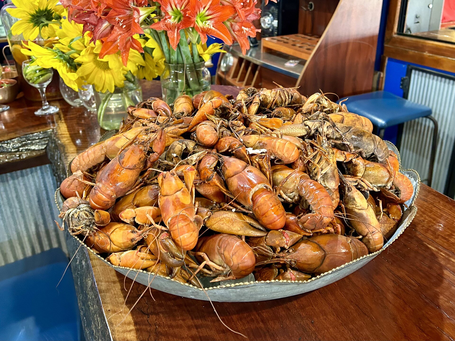Welcome to the Melbourne Cup day yabby race where outback entrants are ...