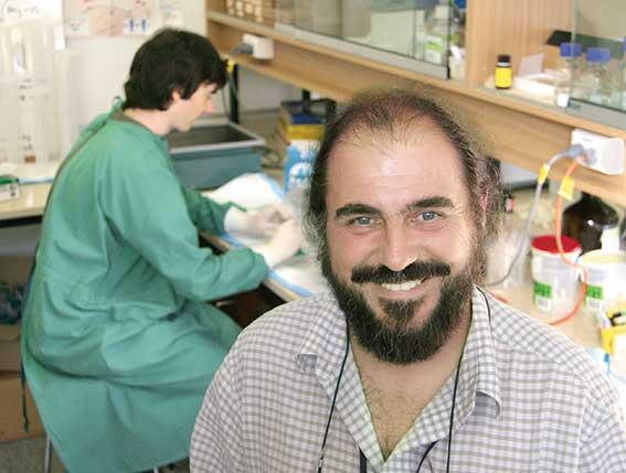 Your guide to what's in tampons, pads and whether 'organic' is better ...