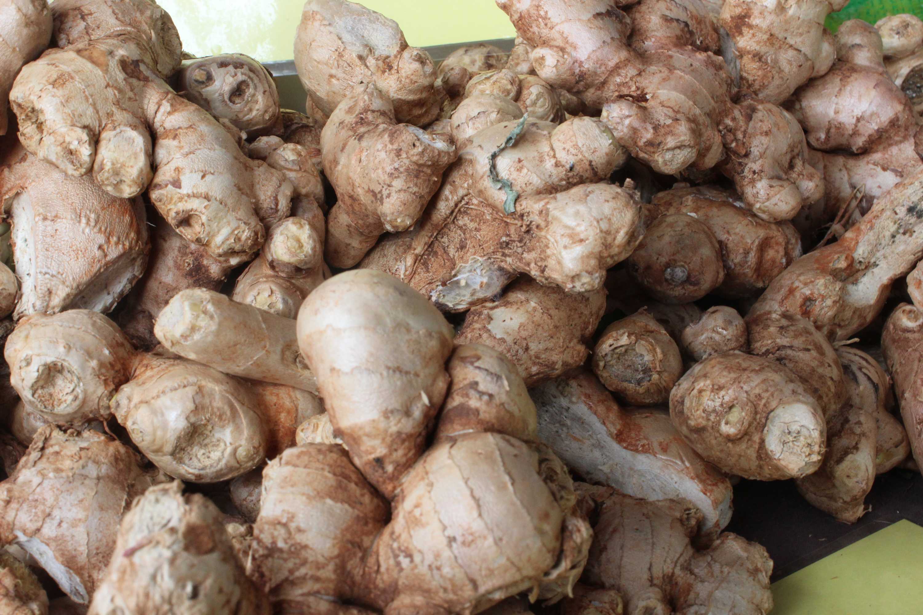 Research finds ginger growers can cut production costs, boost yields by ...