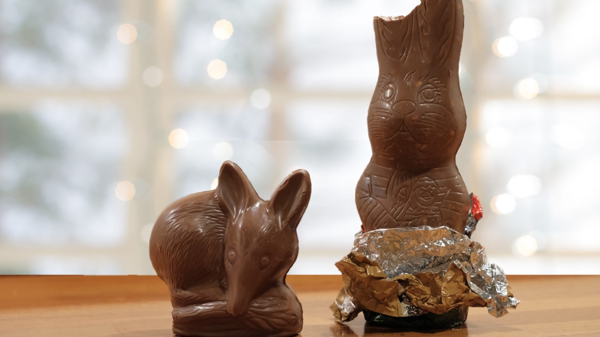 Chocolate bunnies vs bilbies: Who will you back this Easter? - ABC News