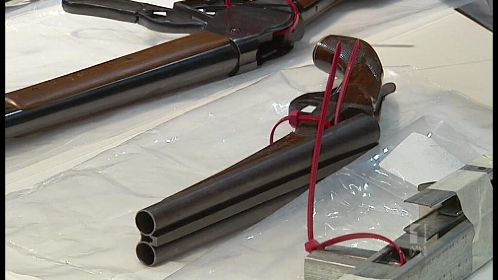 Straight-to-jail gun laws planned - ABC News