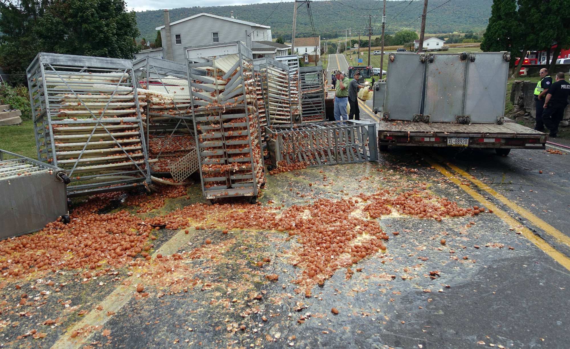 A scrambled mess: More than 136,000 eggs spill onto road in ...