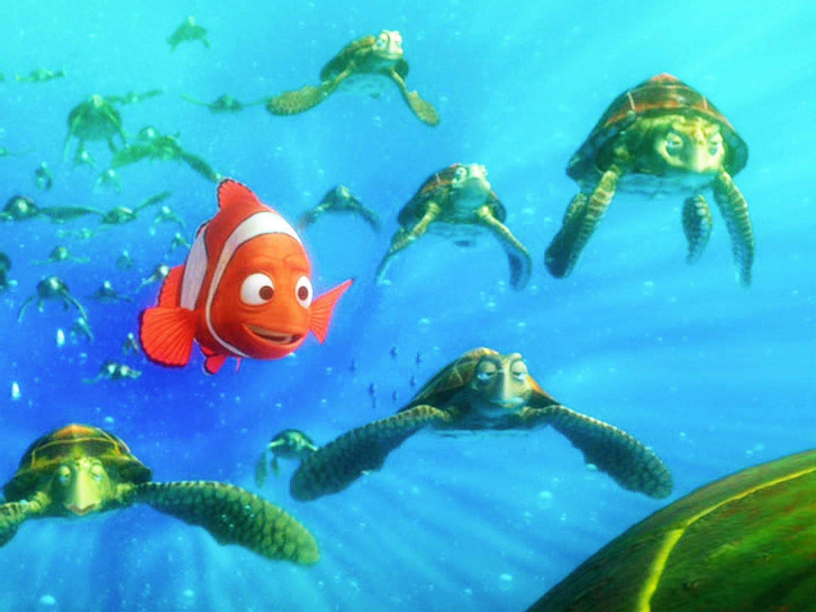 More like Grinding Nemo than Finding Nemo - ABC Adelaide