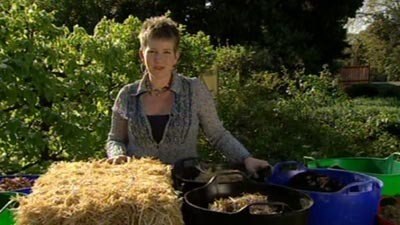 Understanding Mulches - Gardening Australia