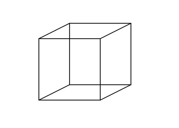 The science of illusions, and what they tell us about how our brain ...