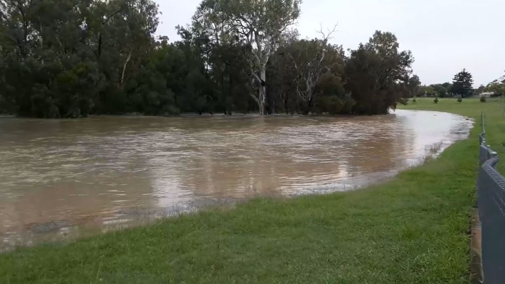 Wet weather in south-east Queensland - ABC News