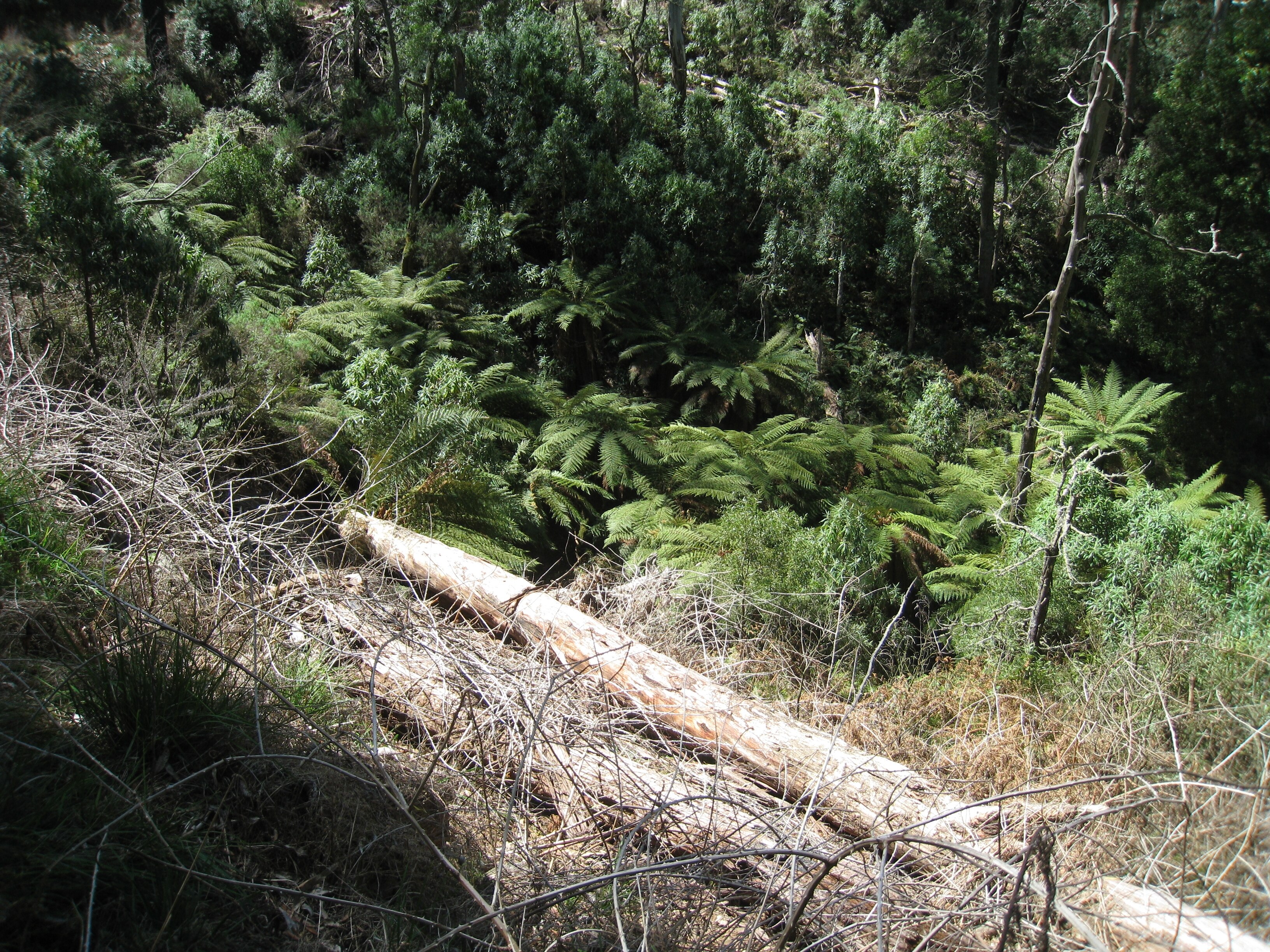 Natural resource management groups get a boost - ABC News