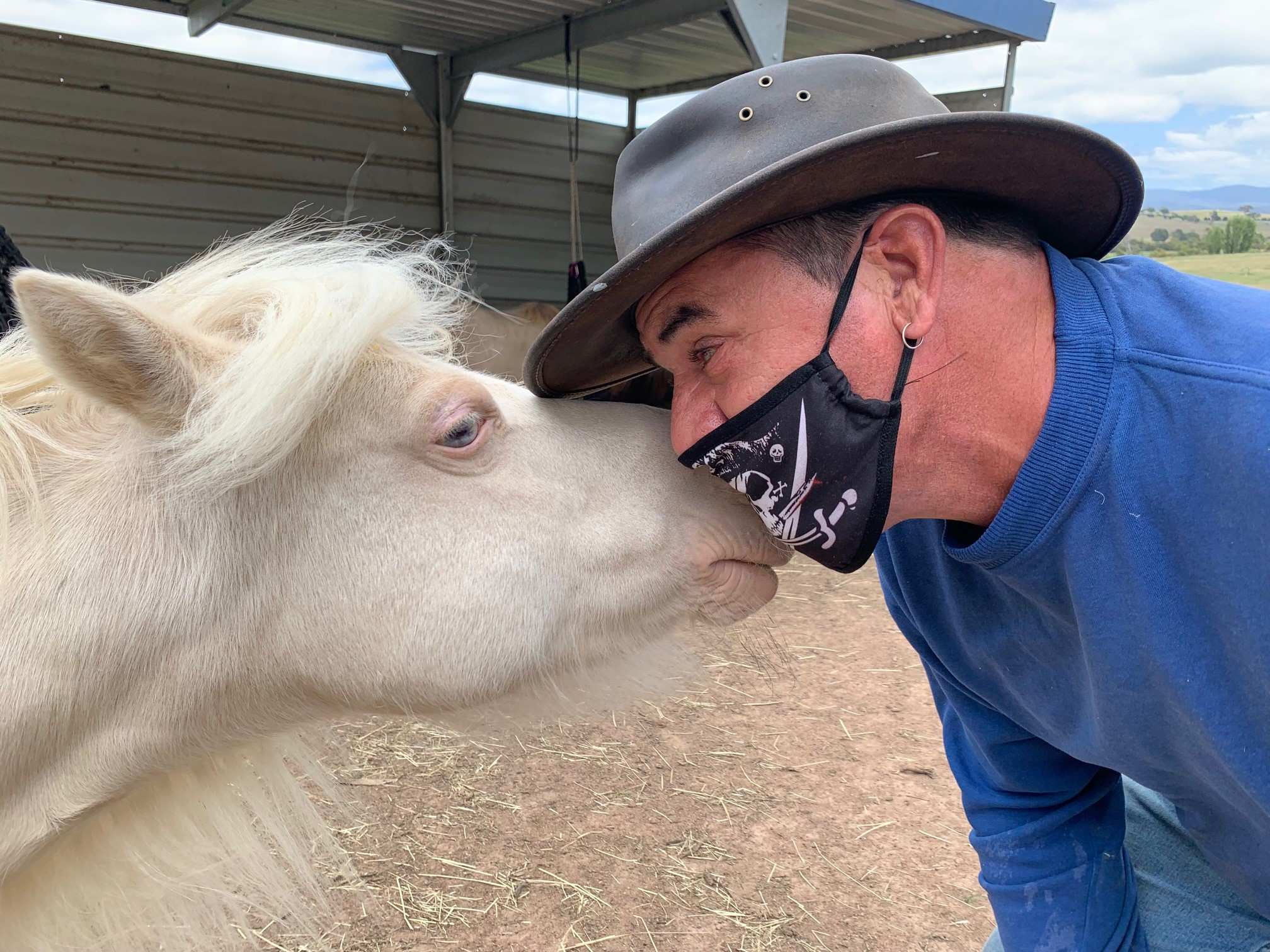 "Cake My Day" will see Lish Fejer bake a cake for any deserving ...