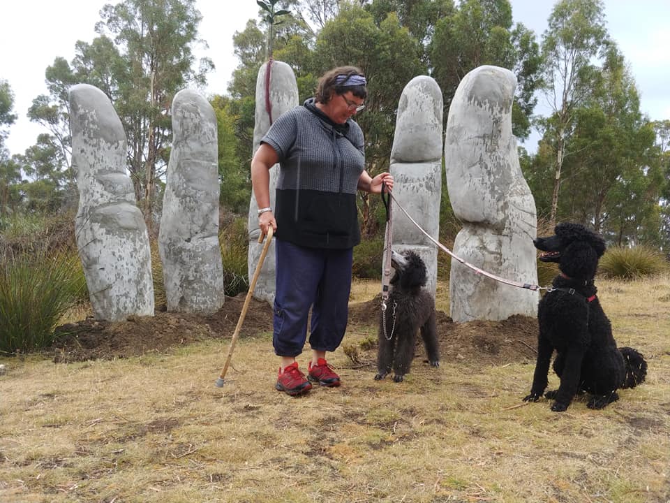 Hobart scientist Bridget Green recovers from brain injury with help ...
