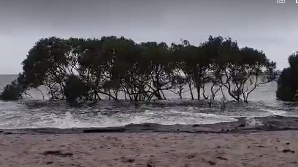 Waves batter Golden Beach - ABC News