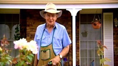 Weed Alert: Lantana - Gardening Australia