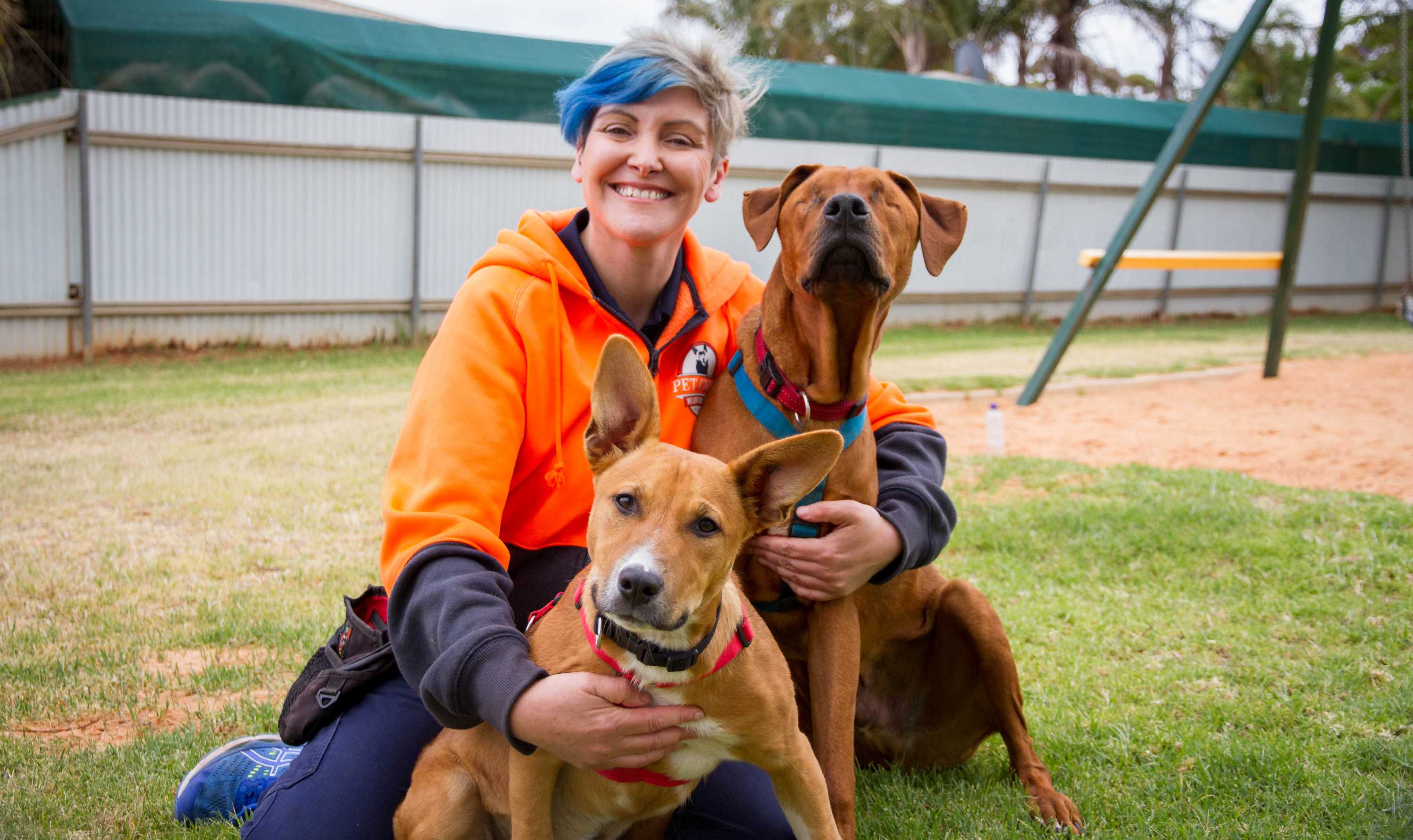 How Do You Bond With A New Rescue Dog