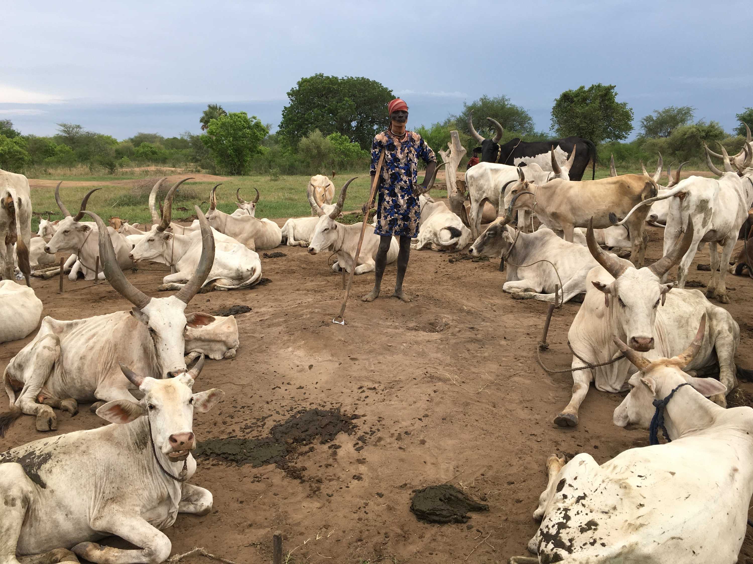 Improving access to agriculture in the global effort to eradicate ...