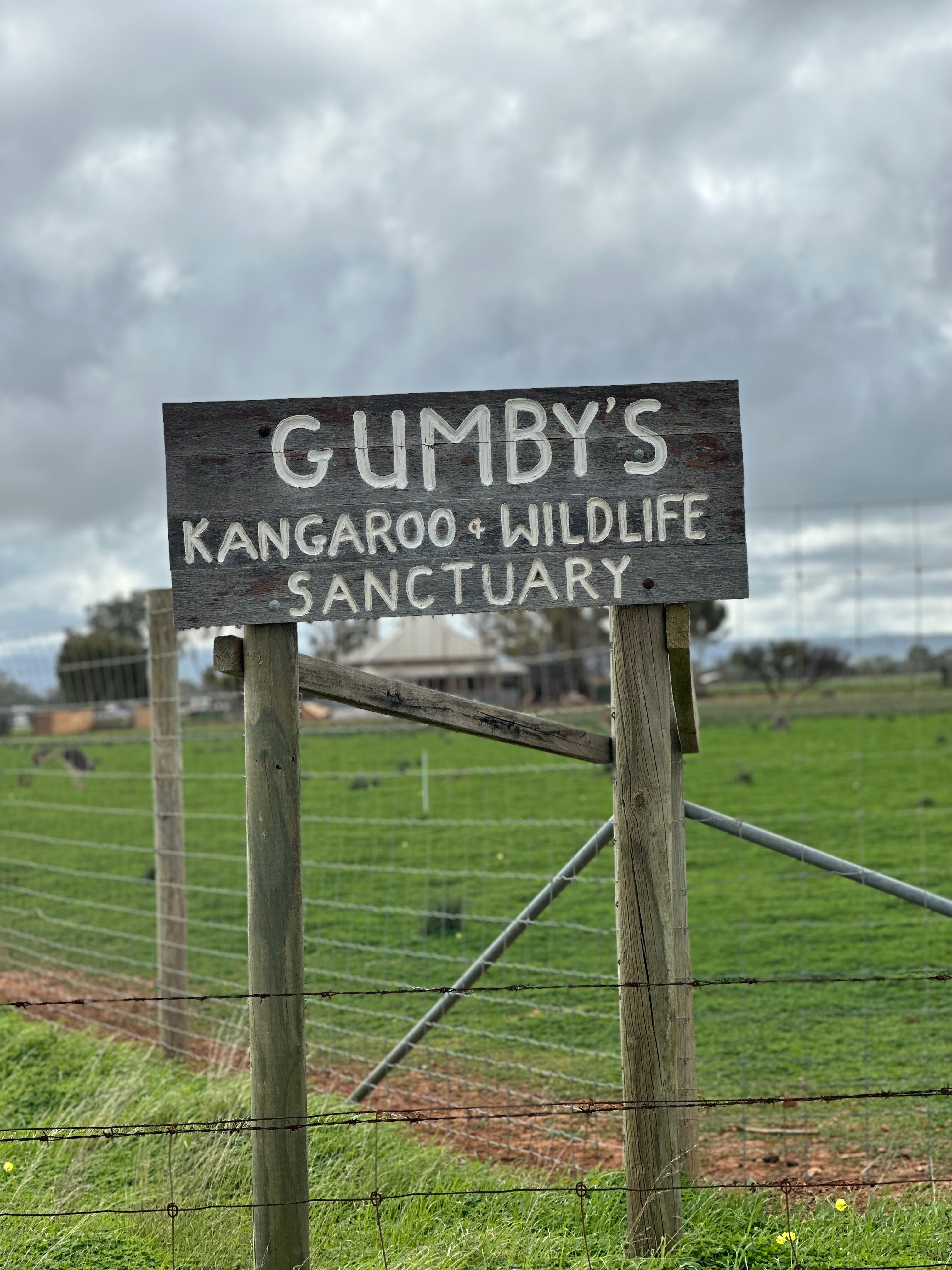 Gumby's Kangaroo and Wildlife Sanctuary owner faces eviction with 90 ...