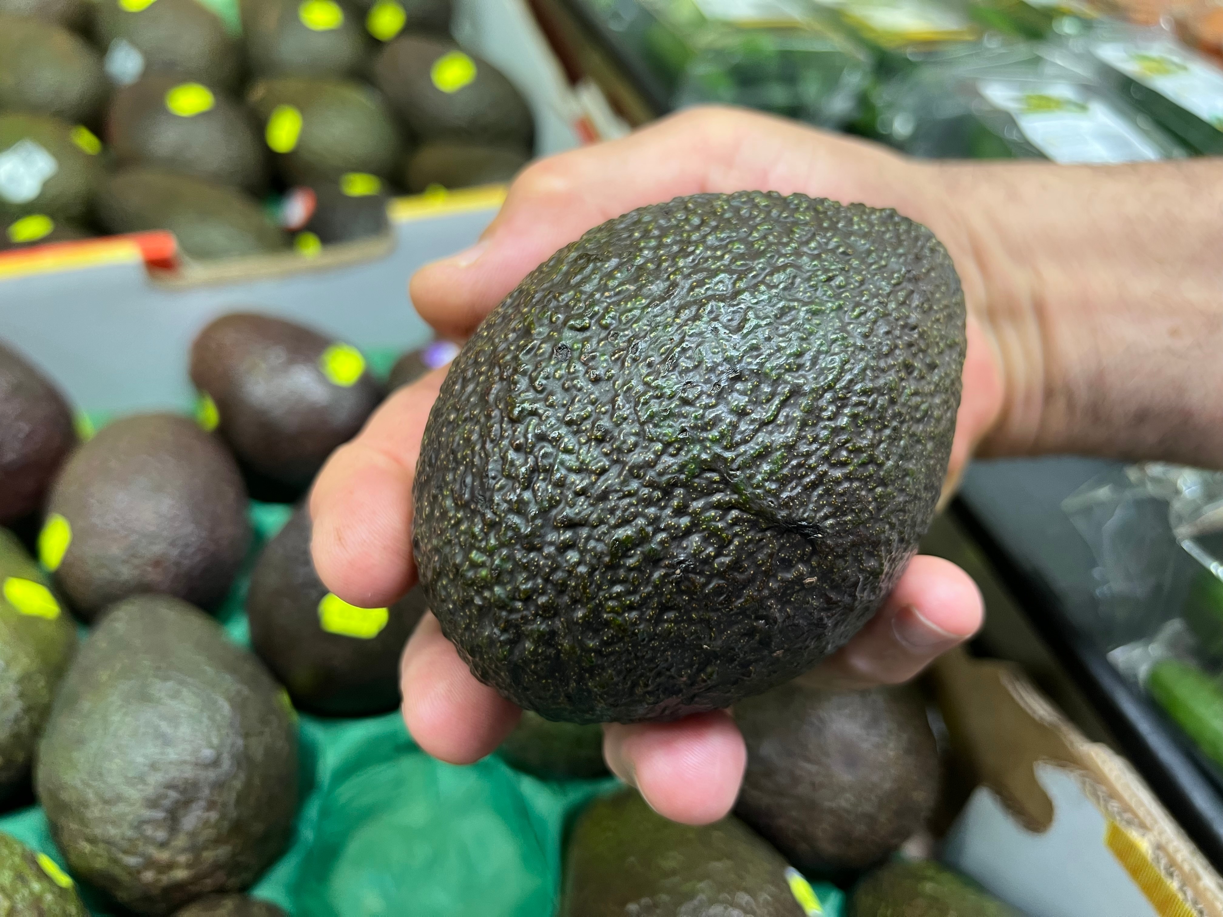 Avocado, stone fruit prices to rise as La Niña ravages crops ahead of ...