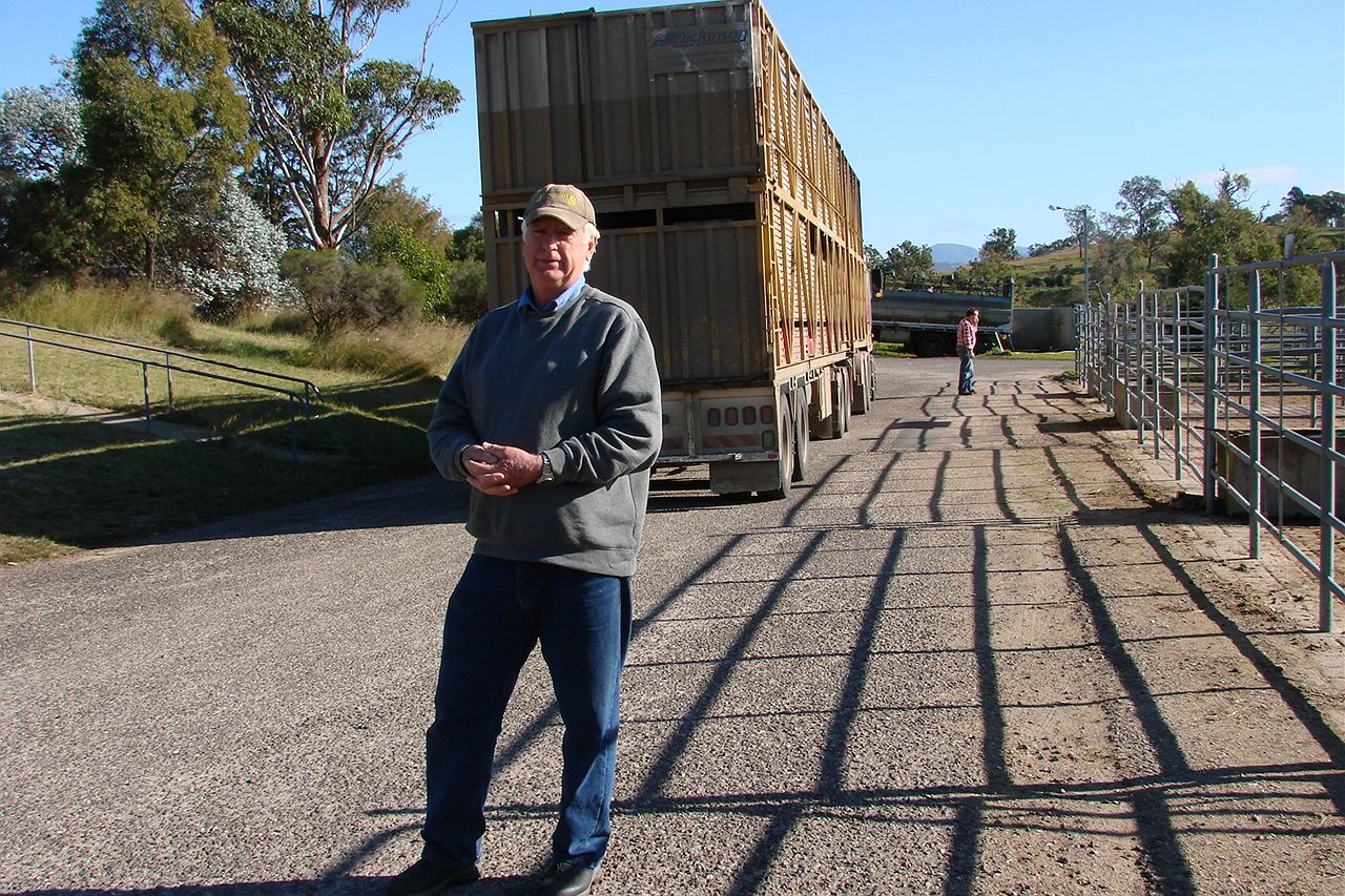 Beef farmer gives up on Japanese exports - ABC News