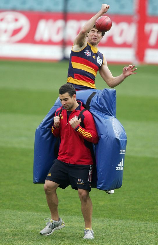 Crows' Otten gone for season 2010 - ABC News