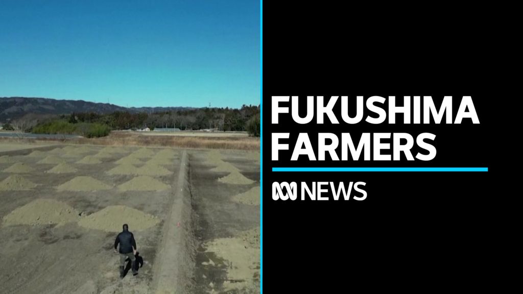 Fukushima farmers work on recovery efforts after 2011 nuclear disaster ...