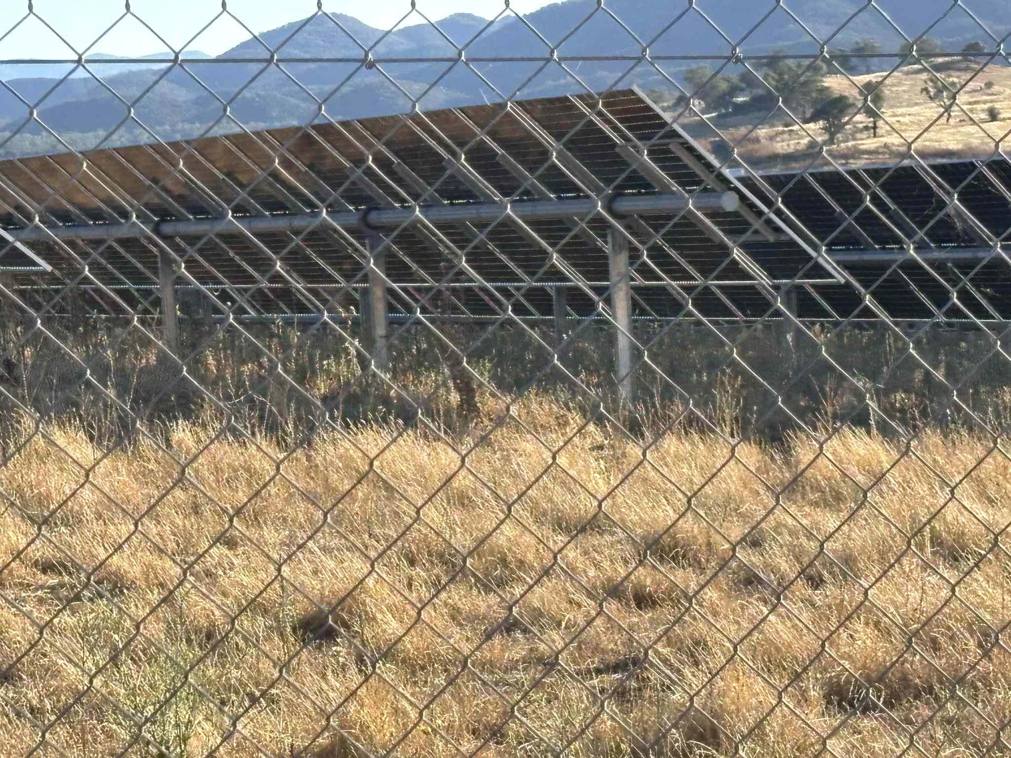 Wellington North solar farm grass fire burns almost 100ha - ABC News