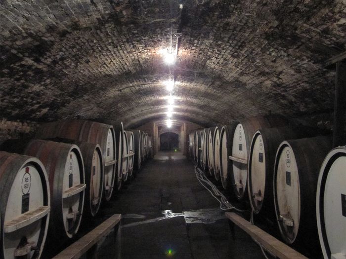 Water into wine - ABC News